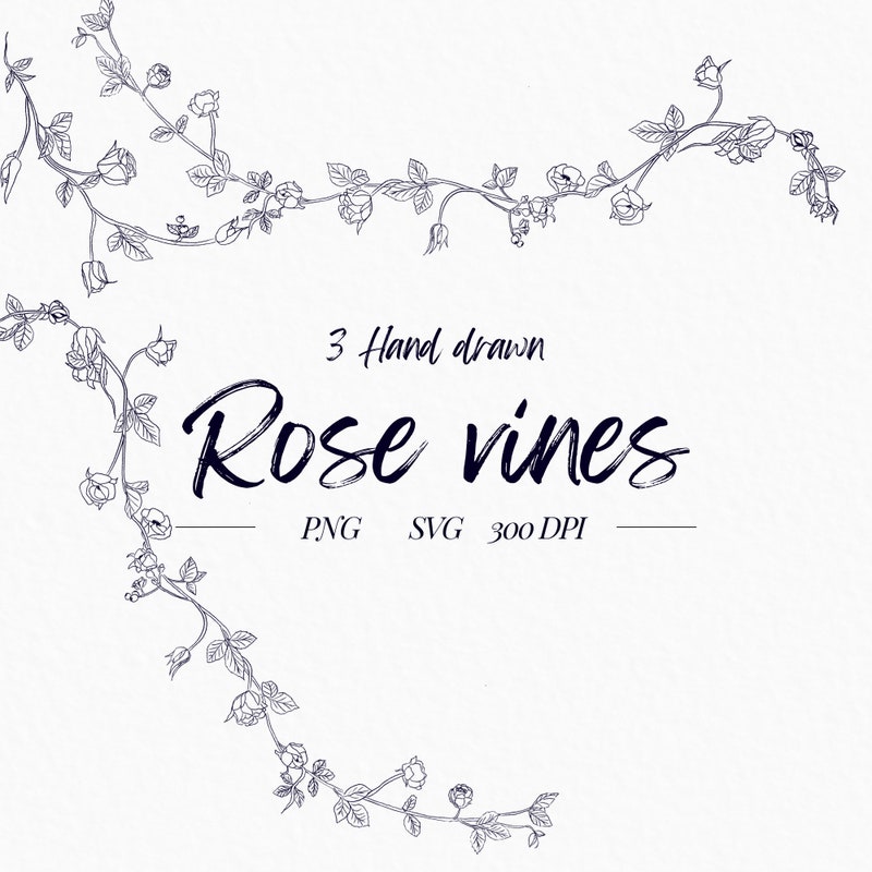 Rose Vine Svg - Etsy