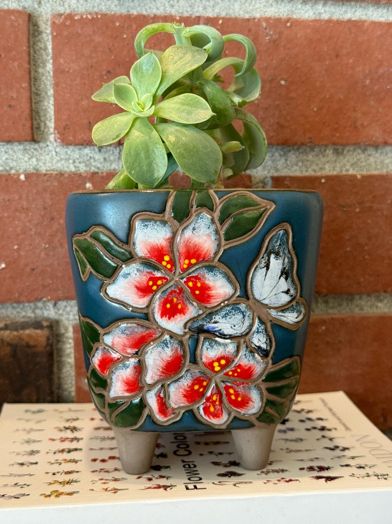 Maceta de arcilla floral para suculentas: Maceta de terracota artesanal ...