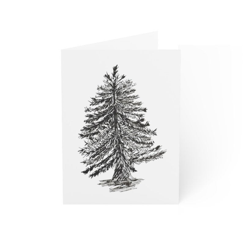 Spruce Tree Drawing Blank Greeting Cards 10, 30, or 50pcs - Etsy