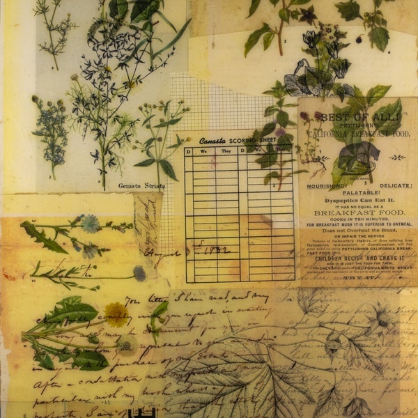 Samba Card Mat - Etsy