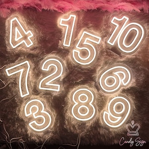 Mini Numbers Neon Sign,9.5 Inch Wedding Number Sign,custom Wedding Neon ...