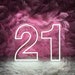 21st Twenty-one Birthday Neon Sign Custom Number Neon Sign LED Light ...