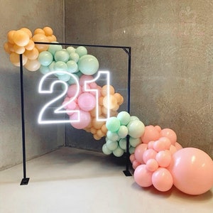 21st Twenty-one Birthday Neon Sign Custom Number Neon Sign LED Light ...