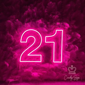 21st Twenty-one Birthday Neon Sign Custom Number Neon Sign LED Light ...