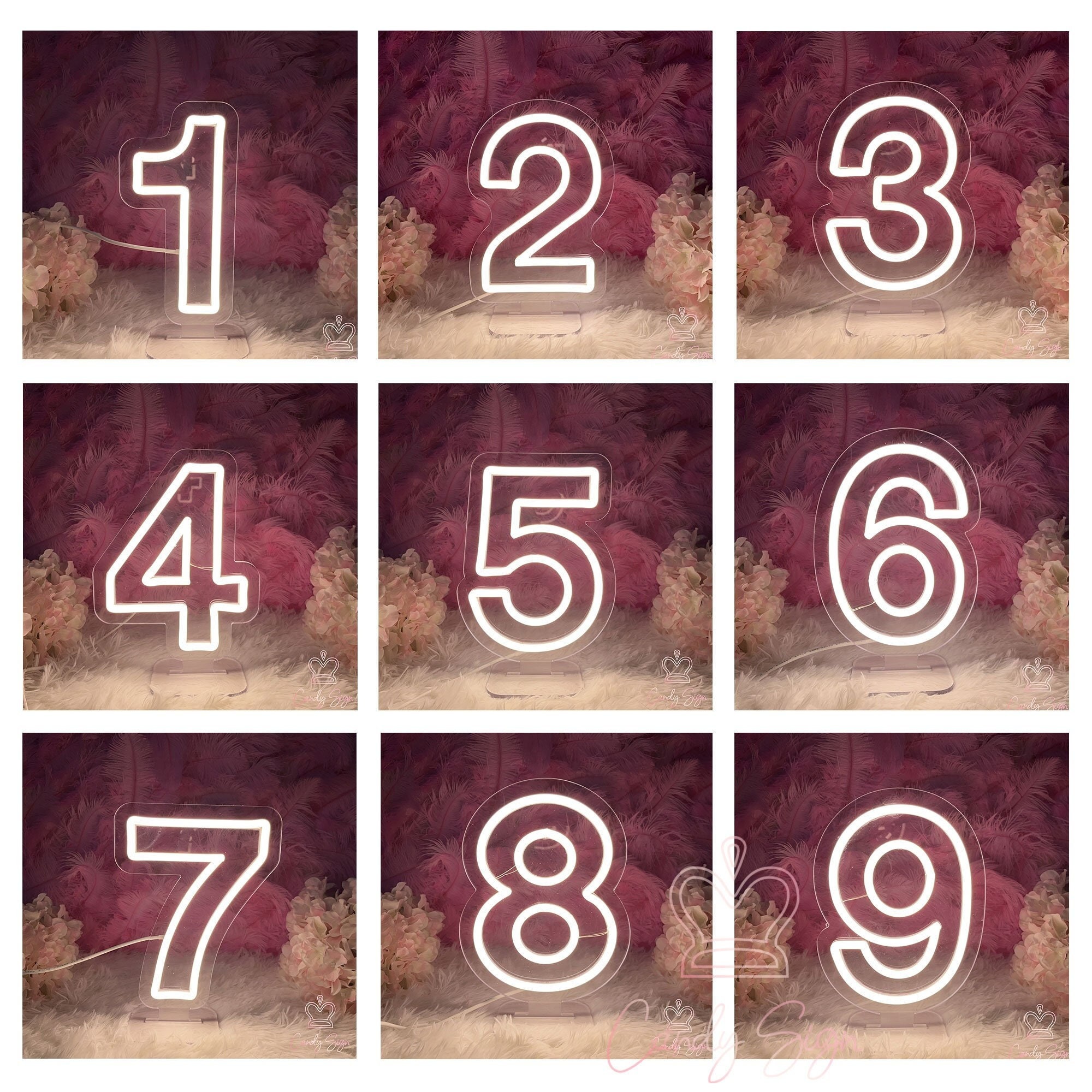 Mini Numbers Neon Sign,9.5 Inch Wedding Number Sign,custom Wedding Neon ...