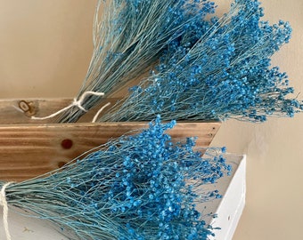 Blue Dried Flowers | Etsy