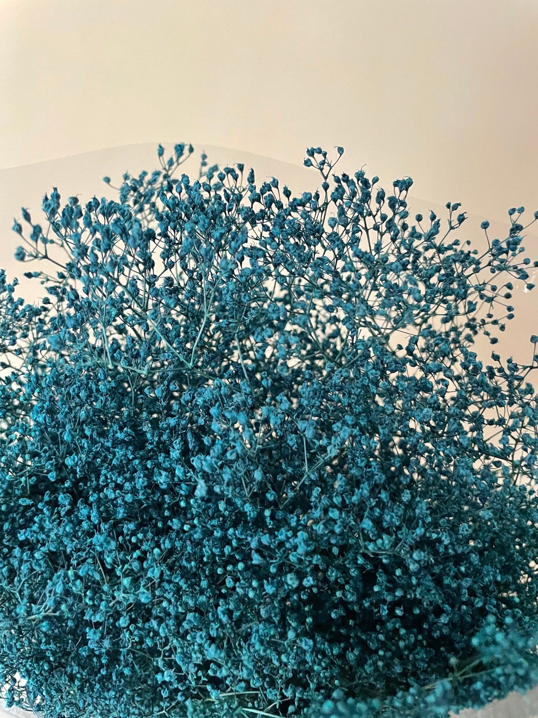 Gypsophila, Turquoise Gypsophila, Wedding Flowers, Filler Flowers ...