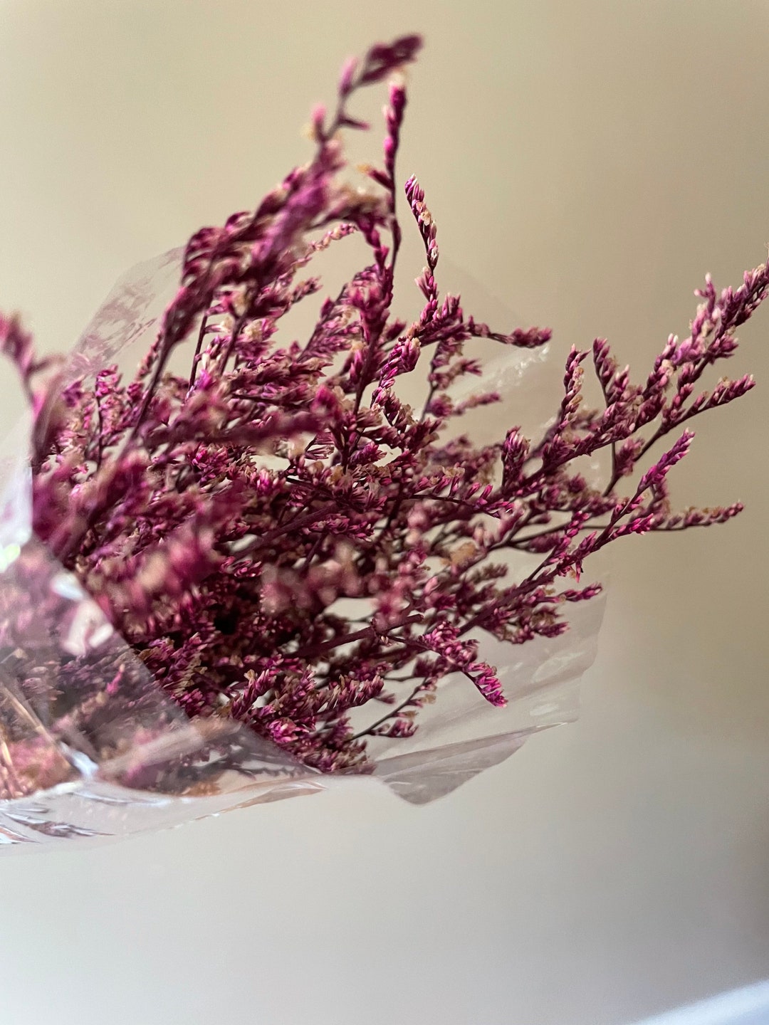 Caspia, Purple Pink Caspia, Wedding Flowers, Filler Flowers, Dried ...