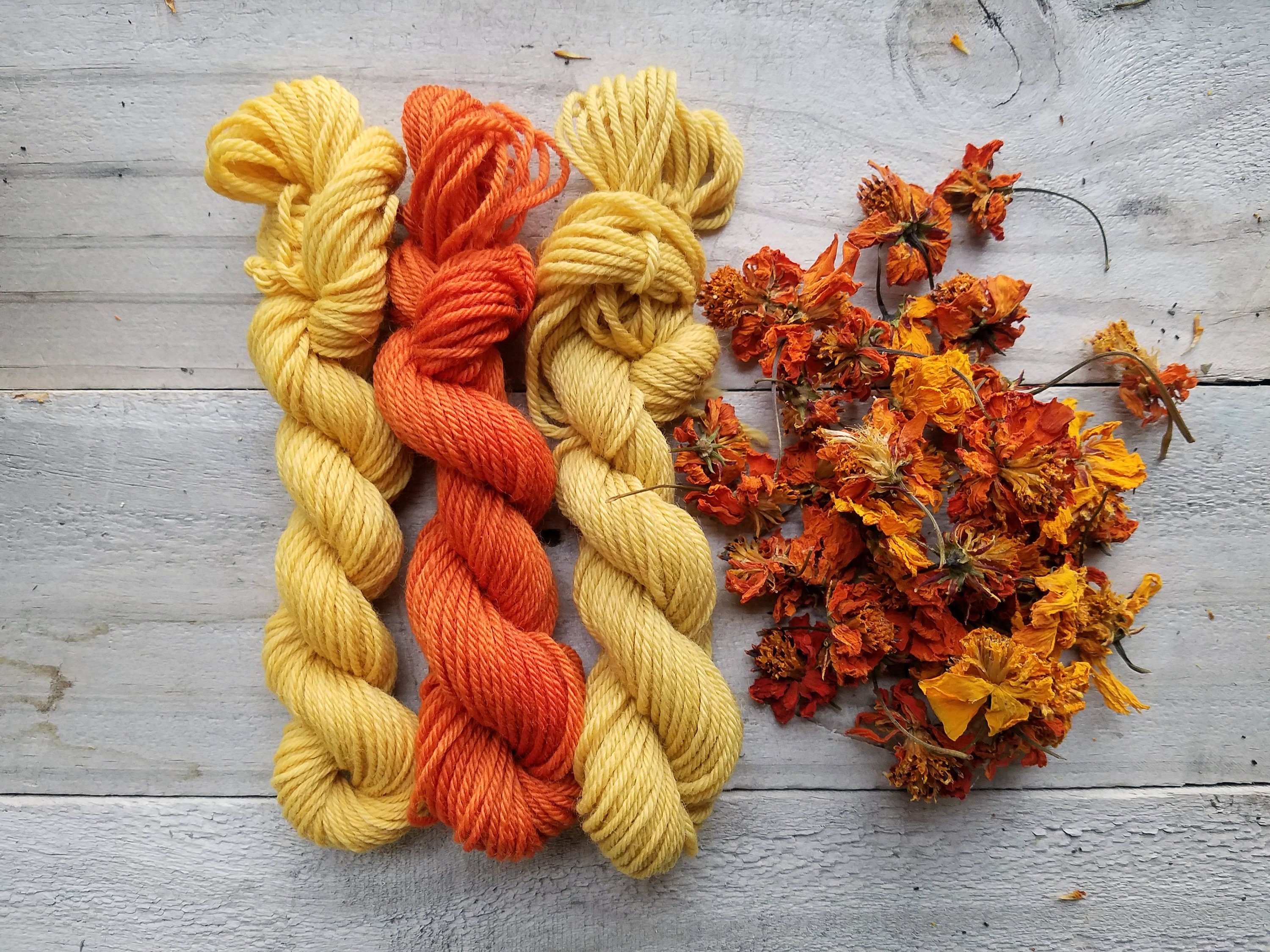 Naturally Dried Cosmos Flowers, Plant Dye - Etsy