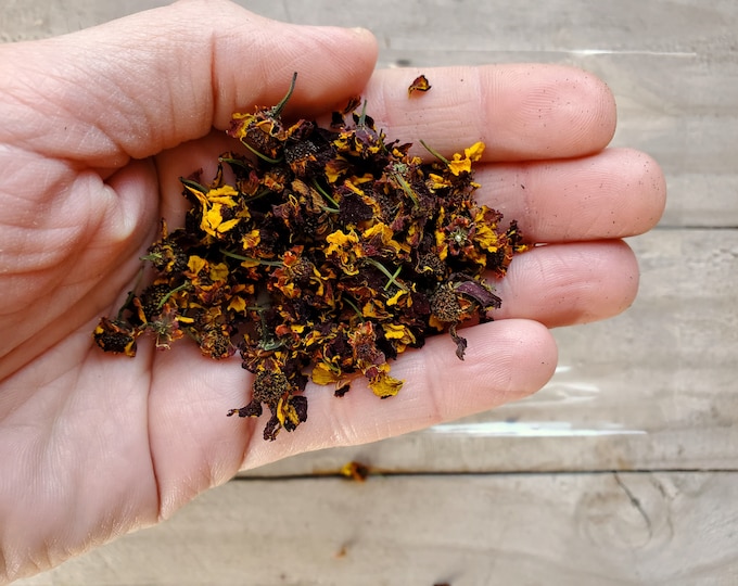 COREOPSIS BABY GOLD Coreopsis Lanceolata 150 Seeds Dwarf Perennial ...