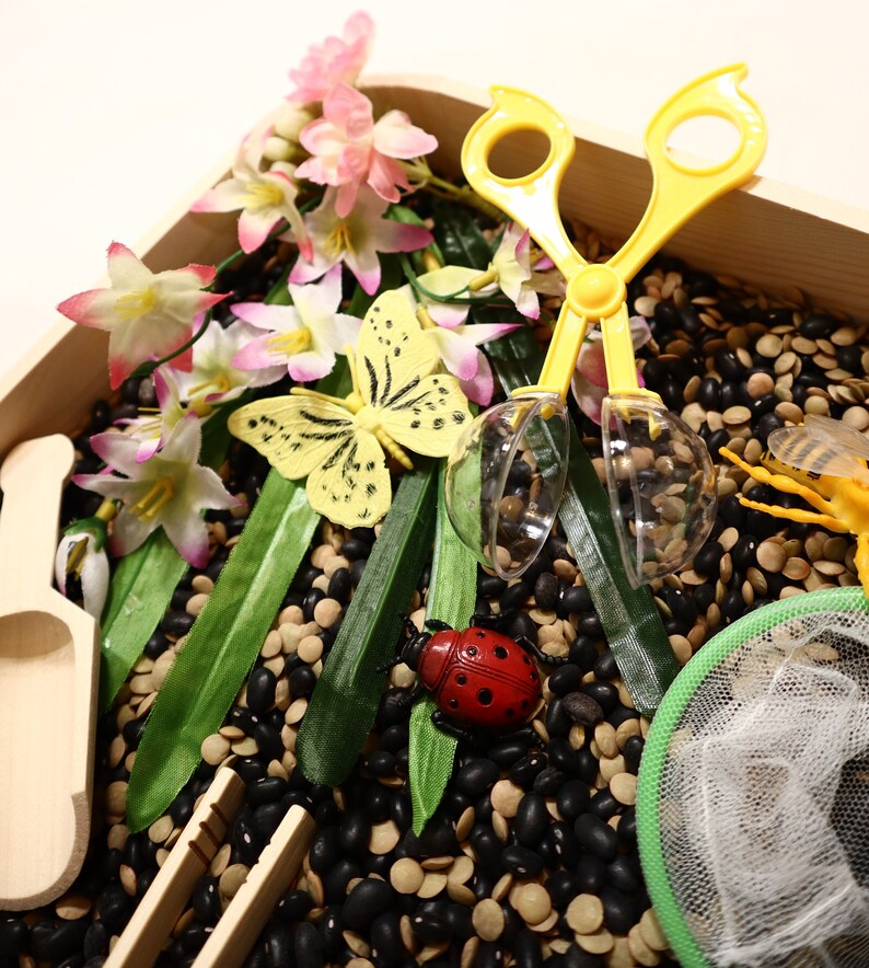 BUG HUNTER Loose Parts Sensory Bin | Etsy