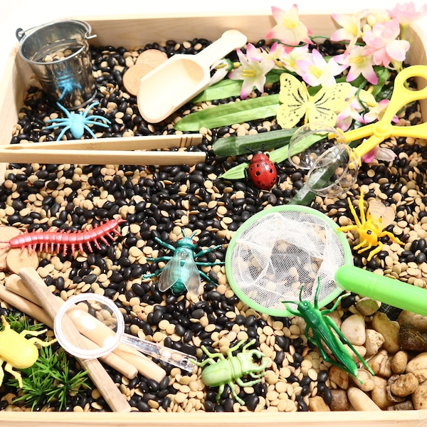 Sensory Bin - Etsy