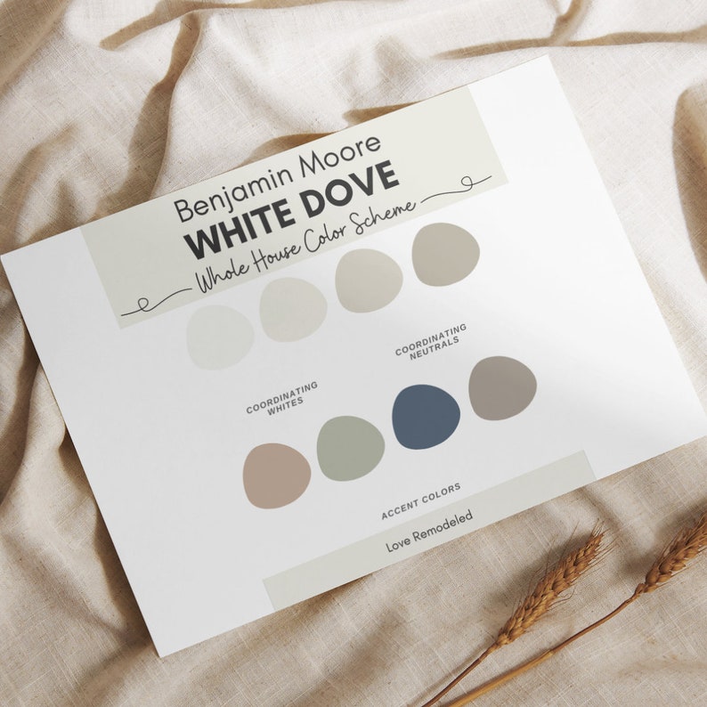 White Dove Color Palette: Earth Tone Paint Scheme (digital Download) - Etsy