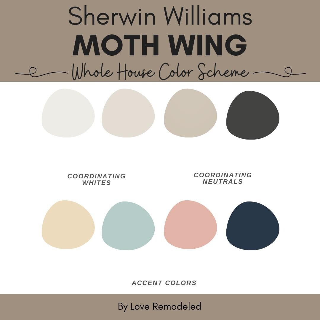 Sherwin Williams Moth Wing Color Palette: Whole House Scheme (digital ...