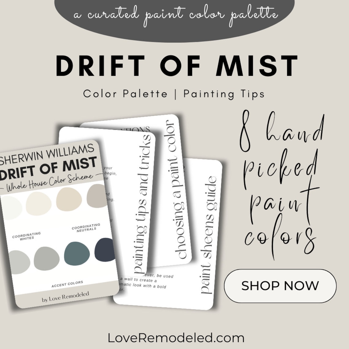 Sherwin Williams Drift of Mist: Coordinating Color Palette (digital ...
