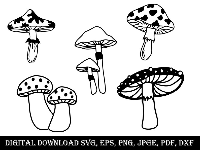 Mushroom Svg Bundle, Magic Mushroom Svg, Floral Mushrooms, Mystical ...