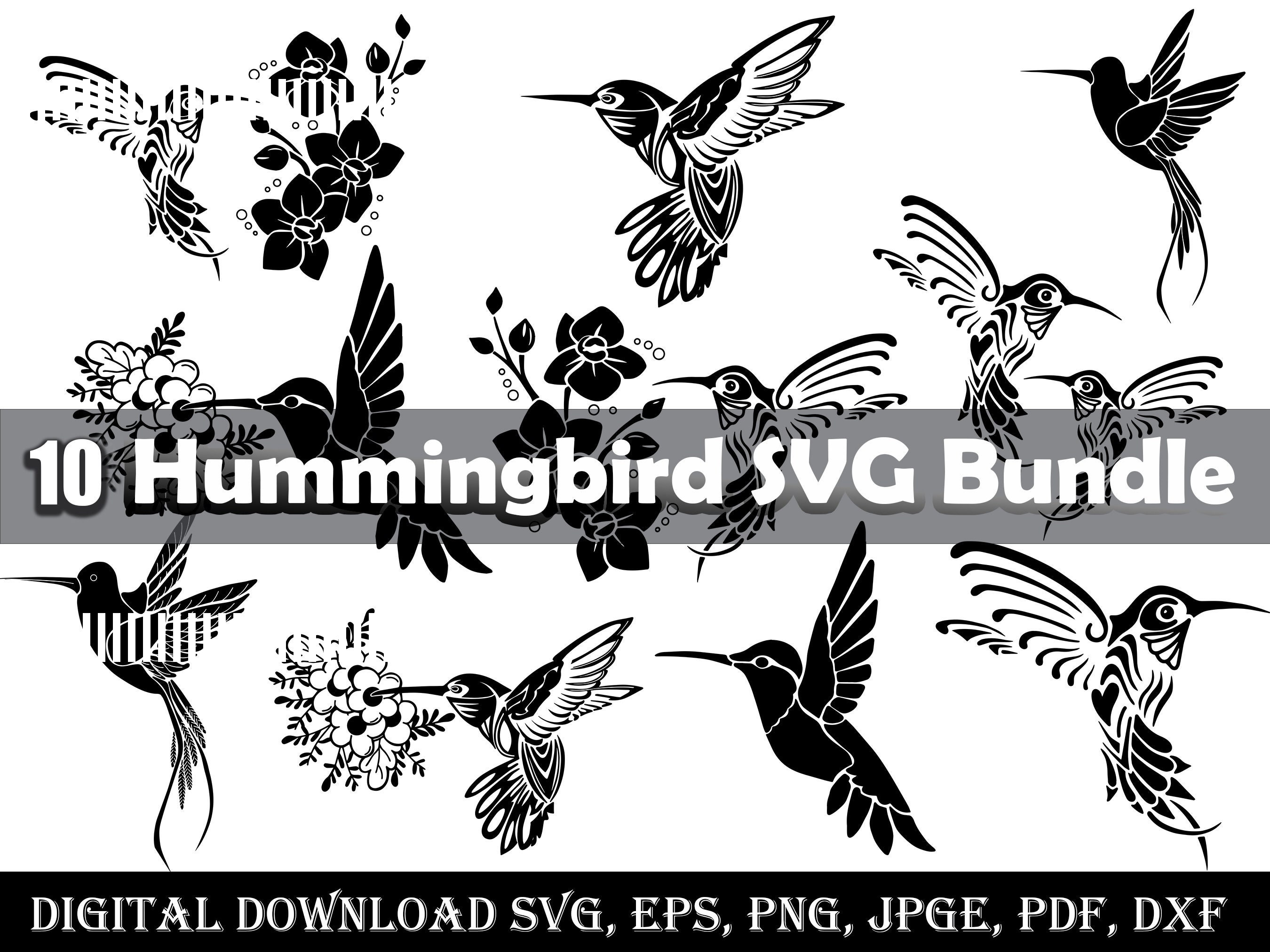 Hummingbird Svg ,american Hummingbird, Bird Svg, Hummingbird Clipart ...