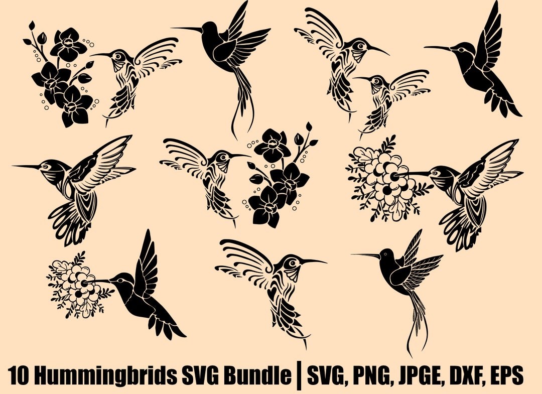 Hummingbird Svg, Hummingbird Clipart, Hummingbird Flowers Svg File ...