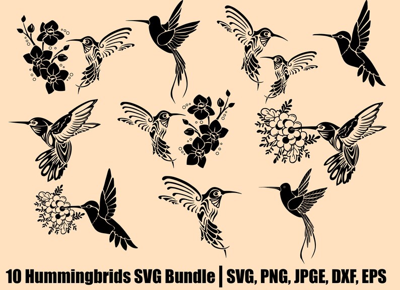 Hummingbird Svg, Hummingbird Clipart, Hummingbird Flowers Svg File ...