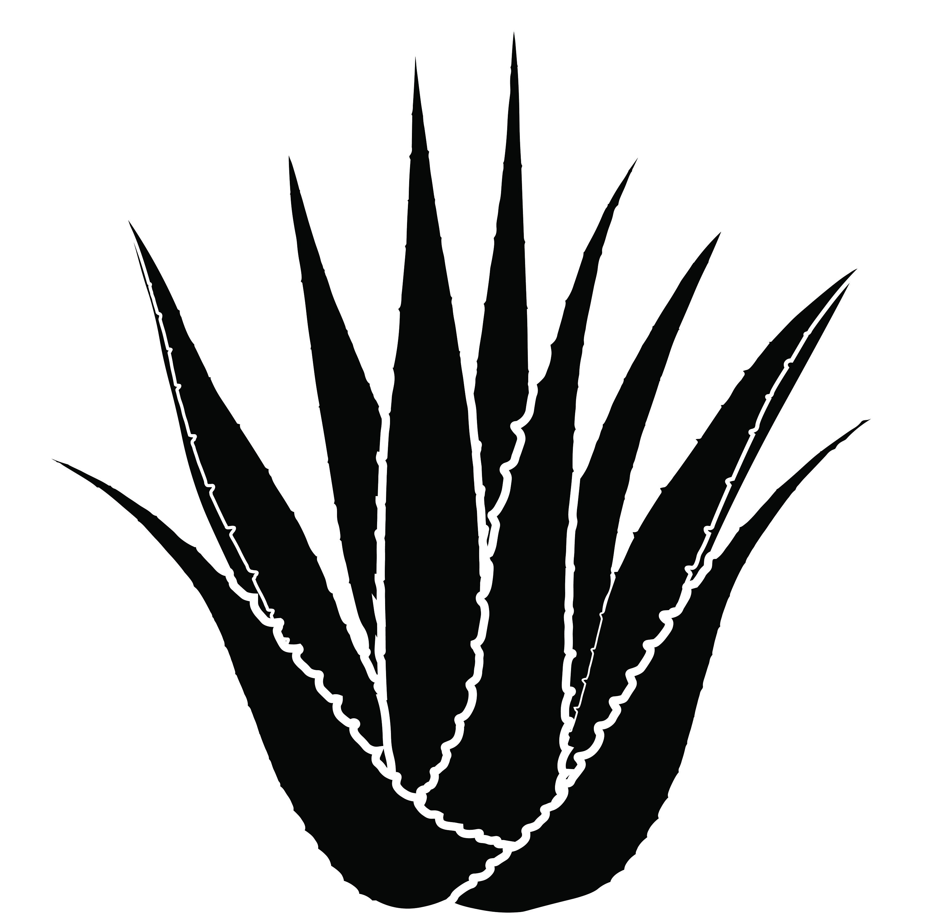 Aloe Vera Digital Clip Art, T-shirt Designs, Aloe Vera Silhouette Svg ...