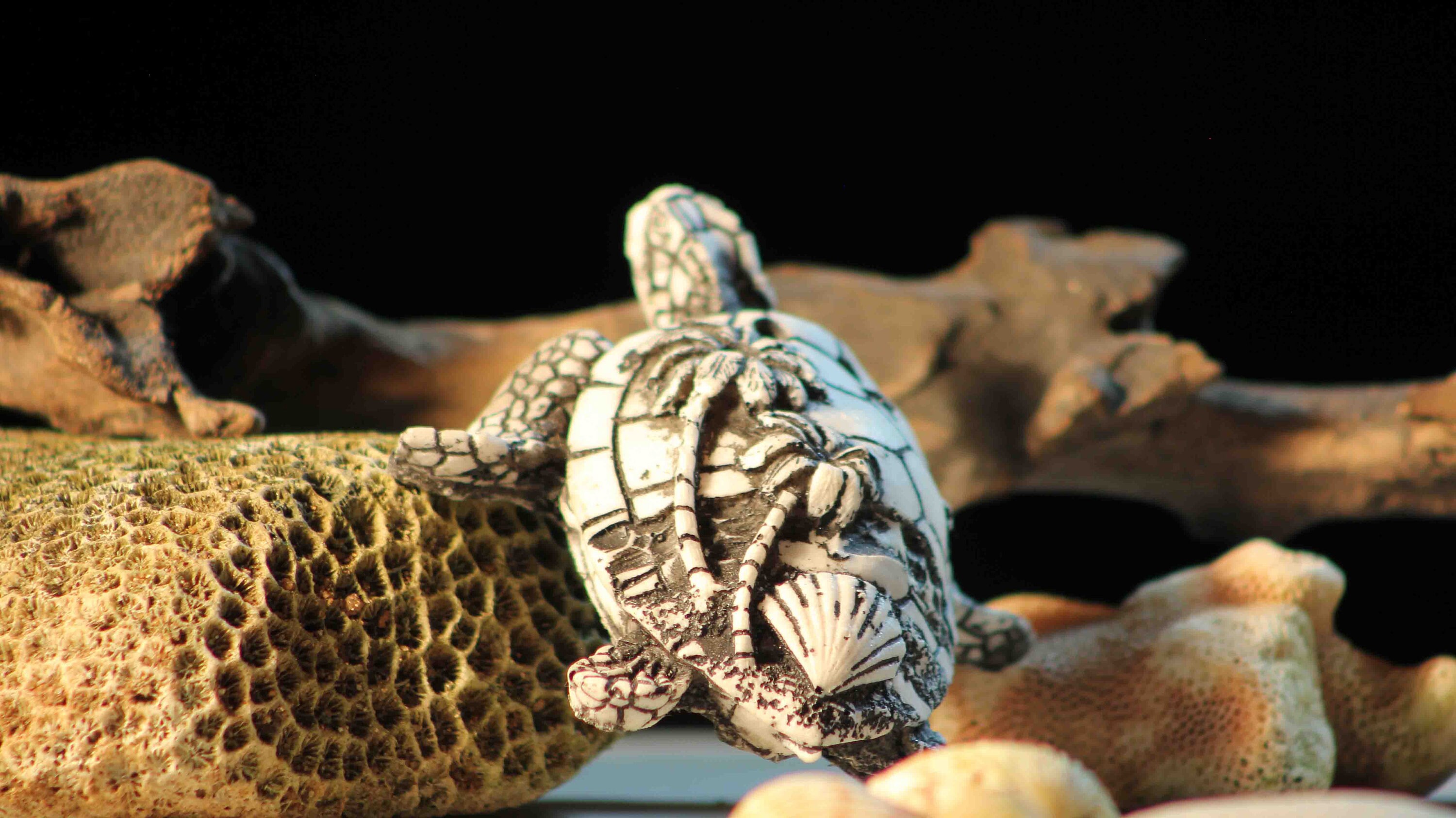 Handmade Vintage Turtle Made by Granite Stone for Living, Office ...