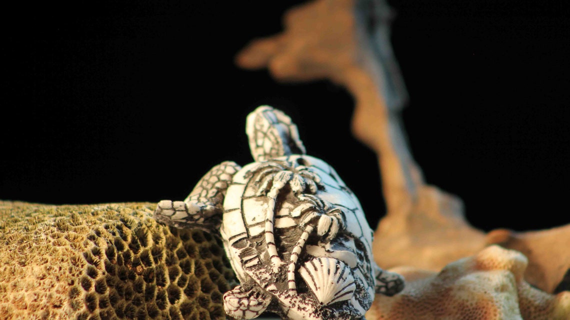 Handmade Vintage Turtle Made by Granite Stone for Living, Office ...