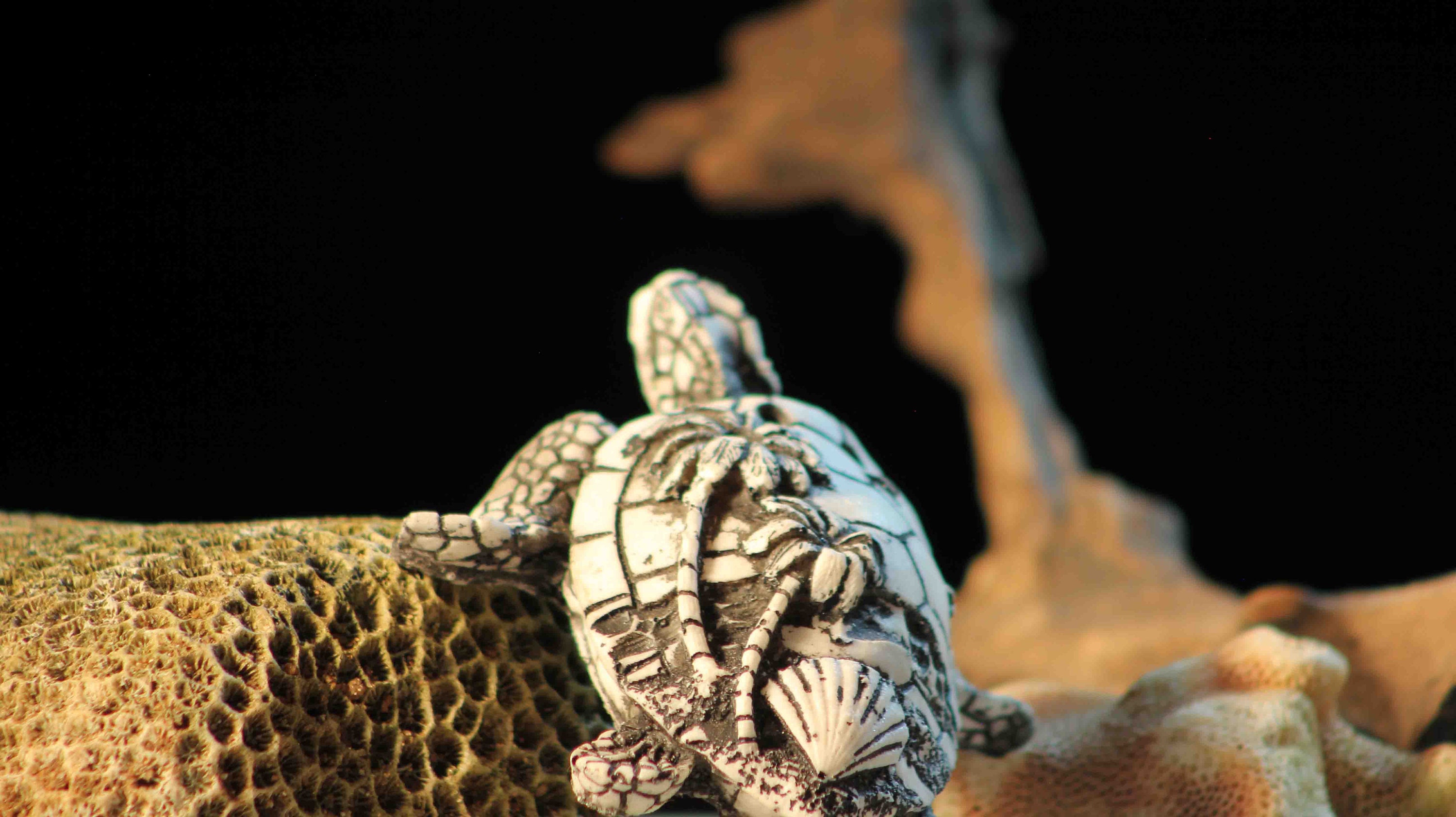 Handmade Vintage Turtle Made by Granite Stone for Living, Office ...