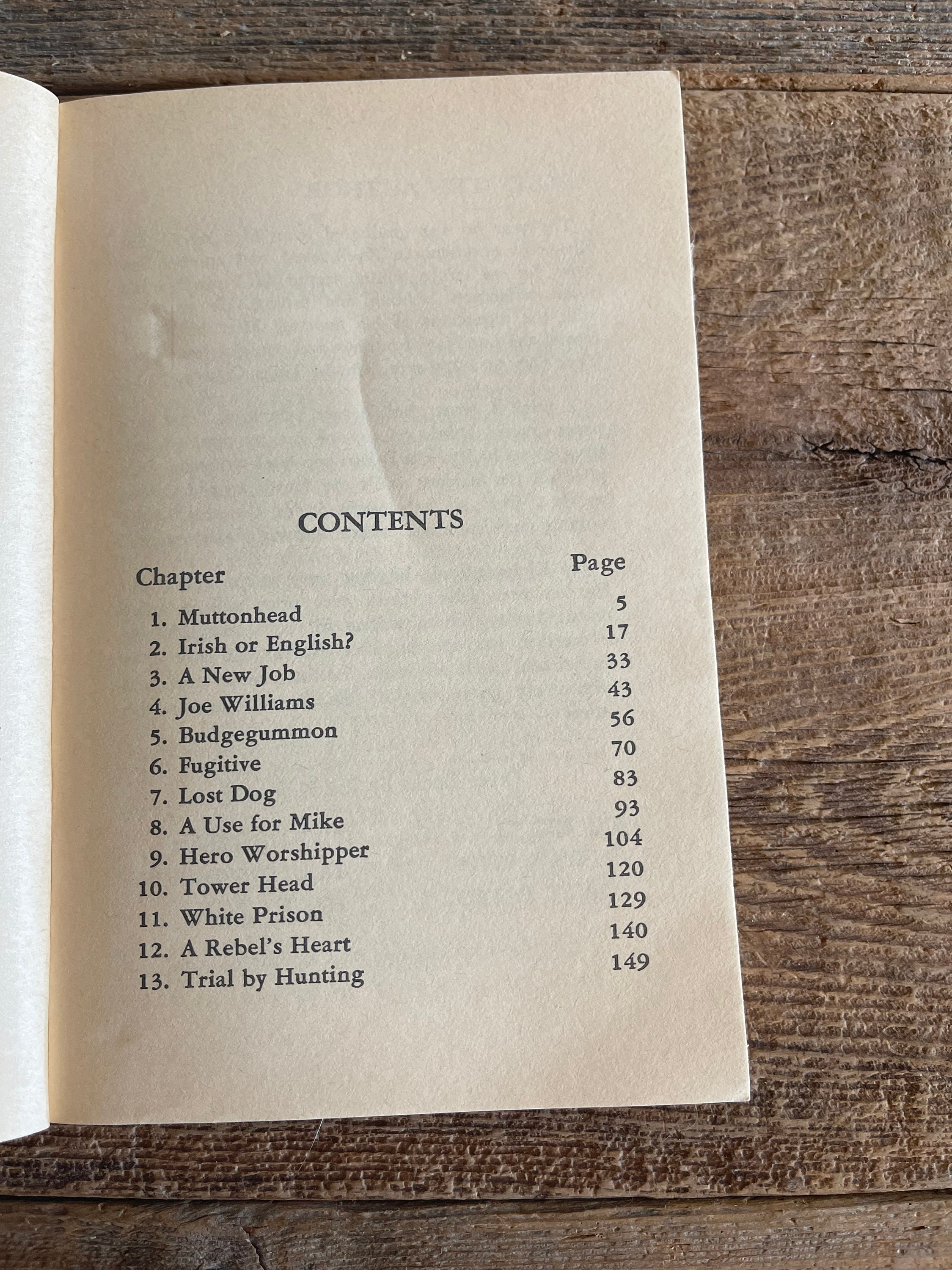 Irish Red // Jim Kjelgaard // 13th Printing 1972 // Scholastic Book - Etsy
