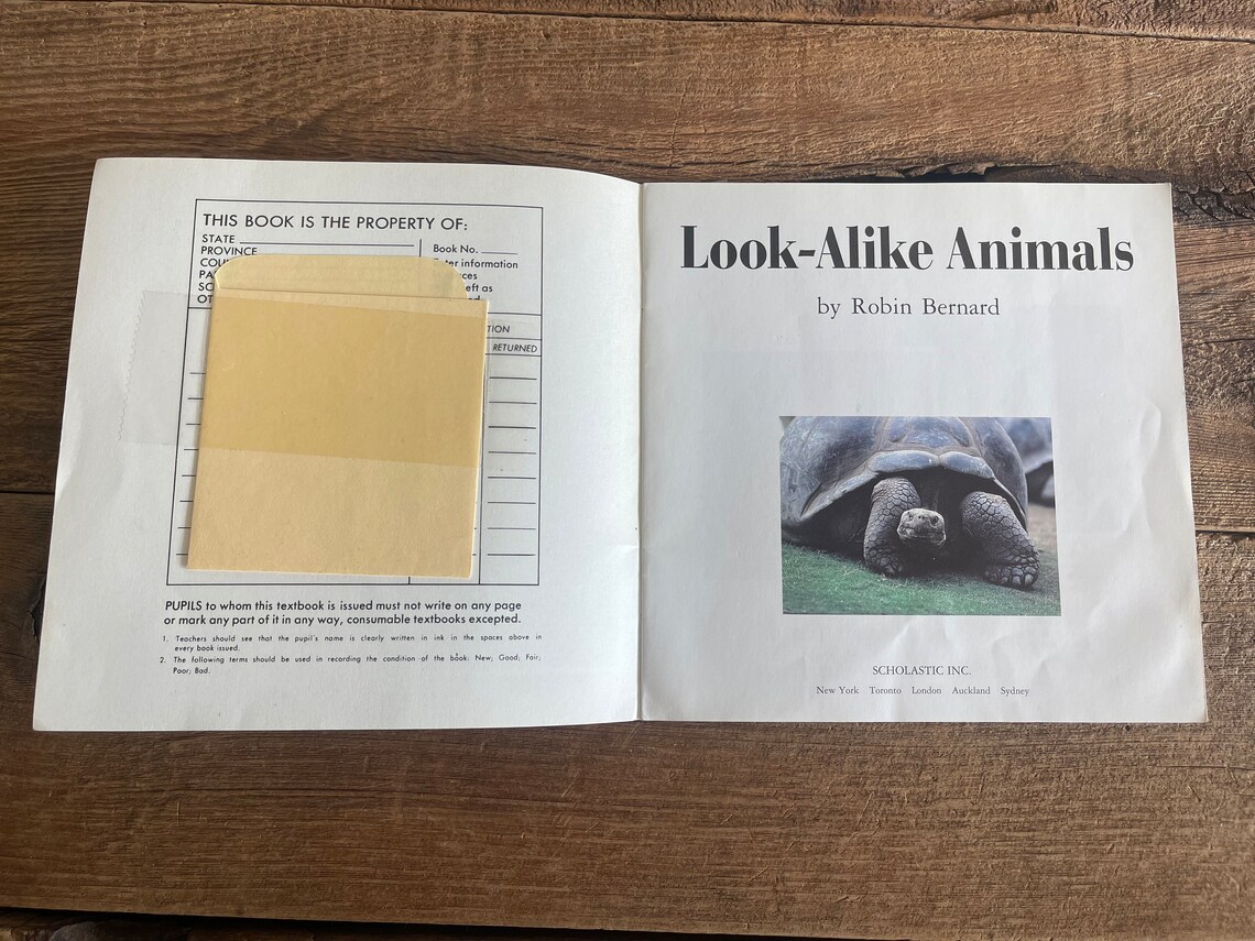 Look-alike Animals // Robin Bernard // Vintage Scholastic Book - Etsy