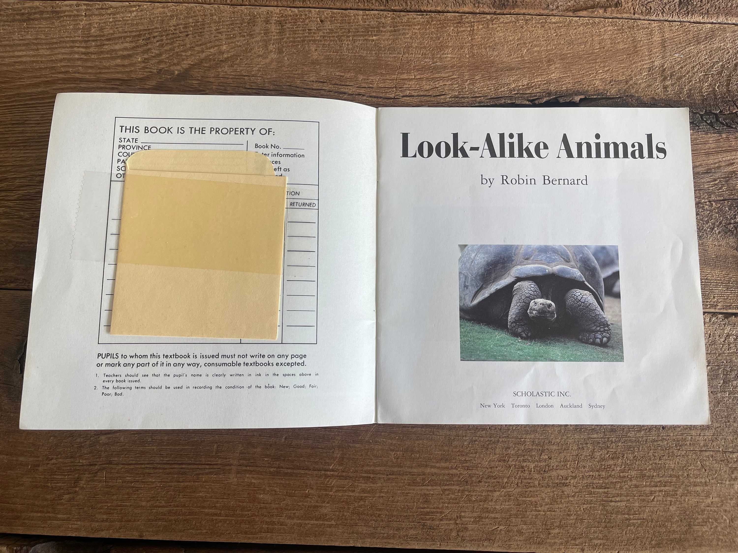 Look-alike Animals // Robin Bernard // Vintage Scholastic Book - Etsy