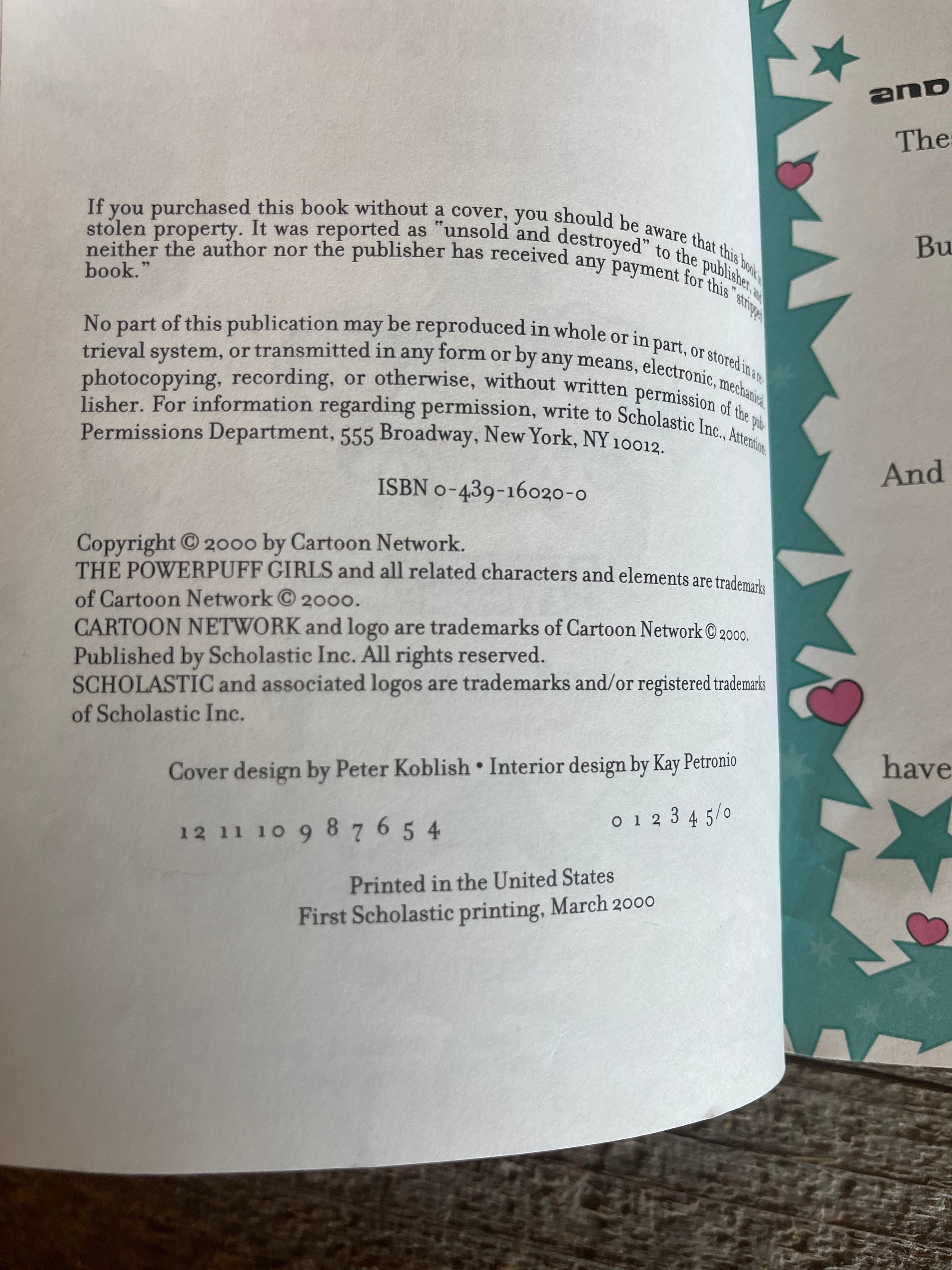 The Powerpuff Girls Chapter Book // Book 2 All Chalked up // - Etsy