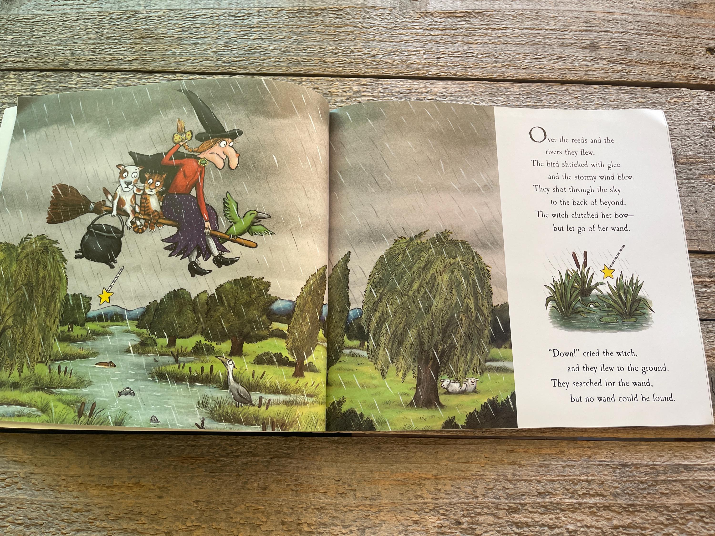 Room on the Broom // Julia Donaldson, Alex Scheffler // Early 2000's ...