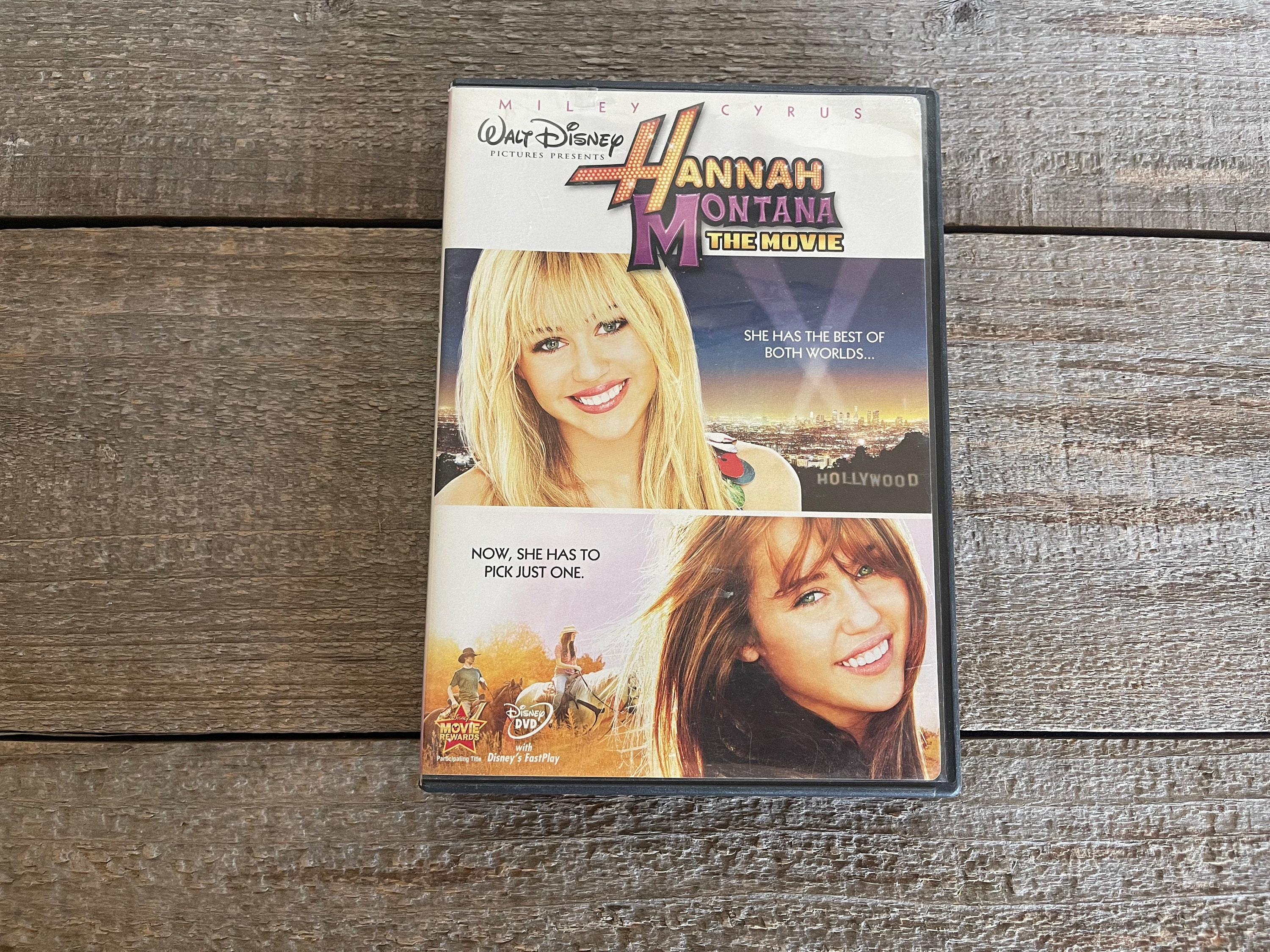 Miley Cyrus The Climb Album Cover