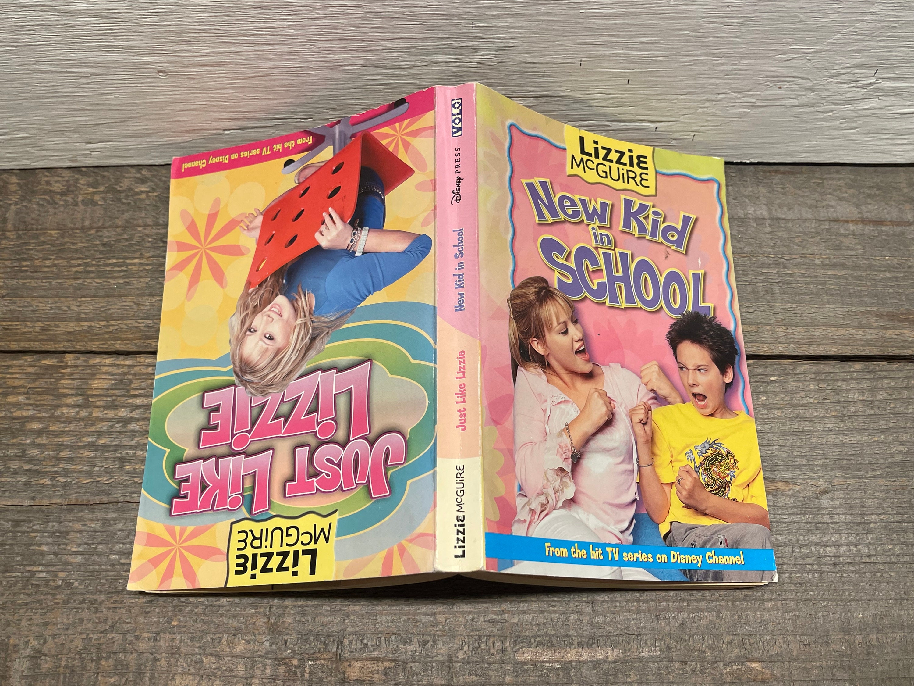 Lizzie Mcguire Double Book // just Like Lizzie and new Kid in School ...