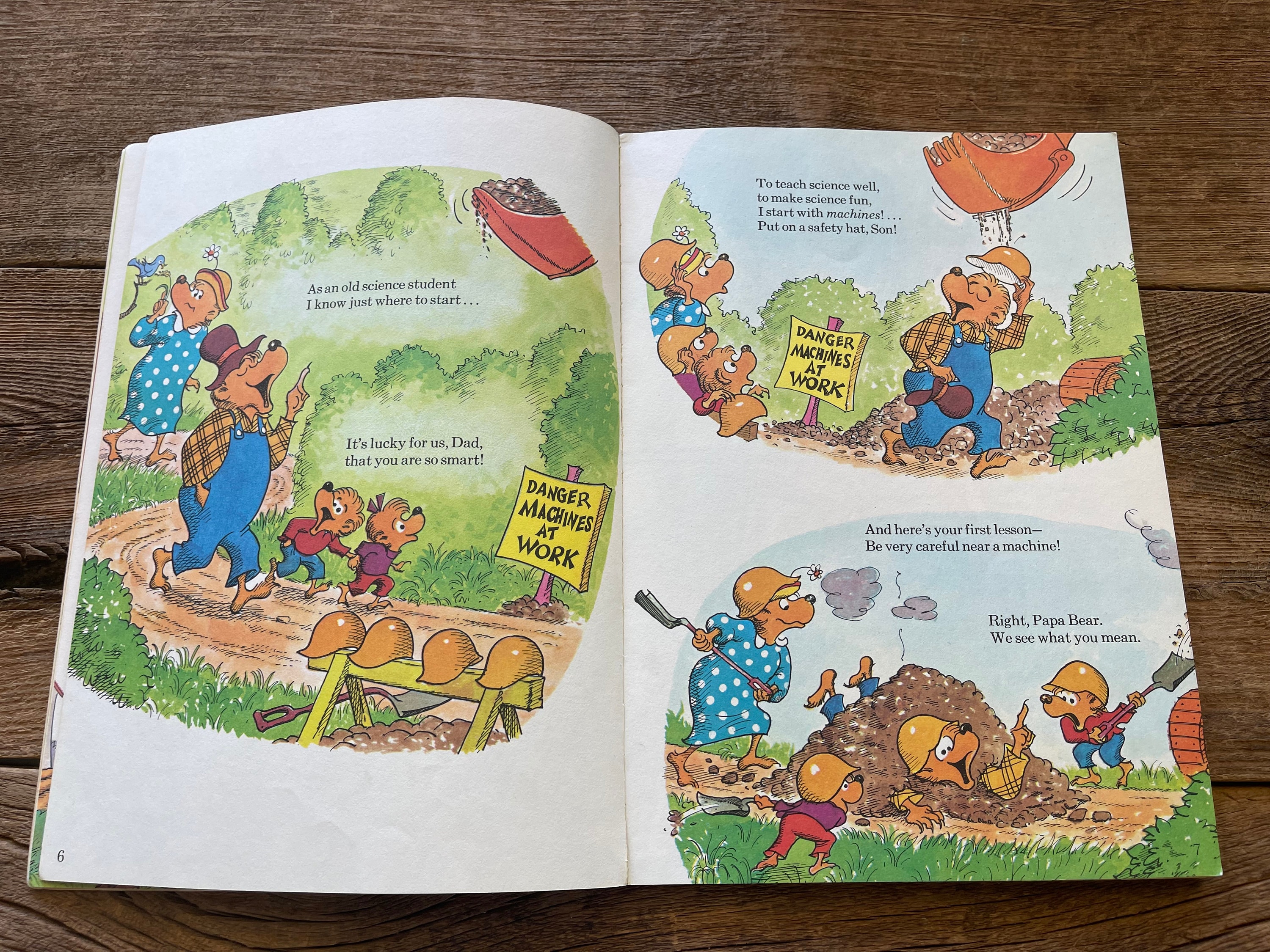 The Berenstain Bears' Science Fair Book // Stan & Jan Berenstain ...