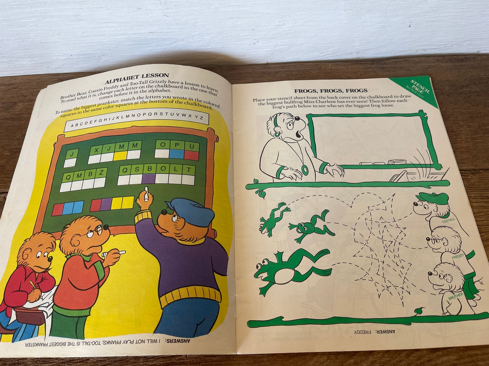 You Choose // the Berenstain Bears' Activity Books // - Etsy