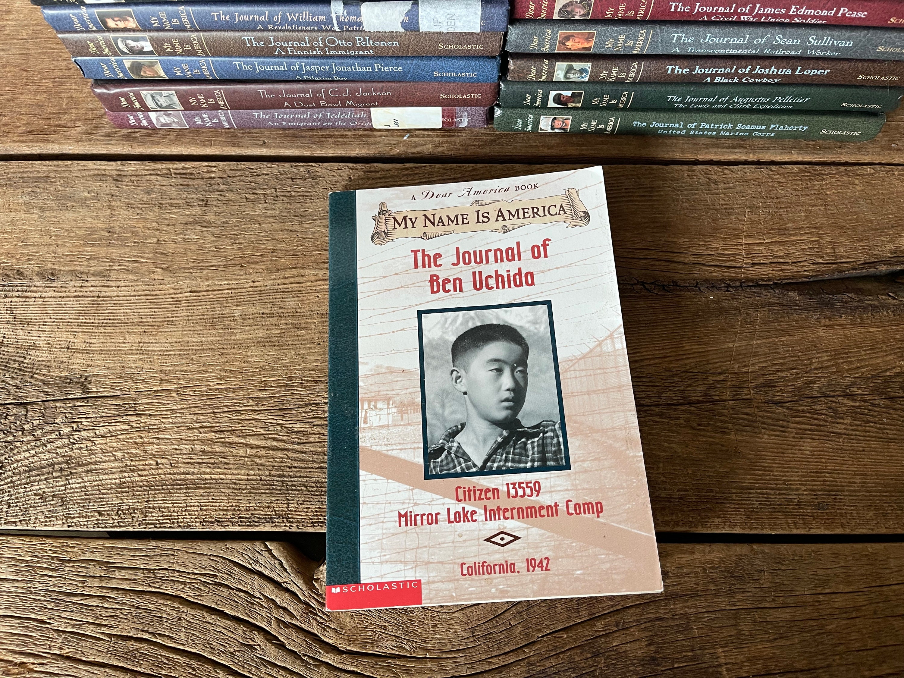 Dear America Books: My Name is America // You Choose // Young - Etsy