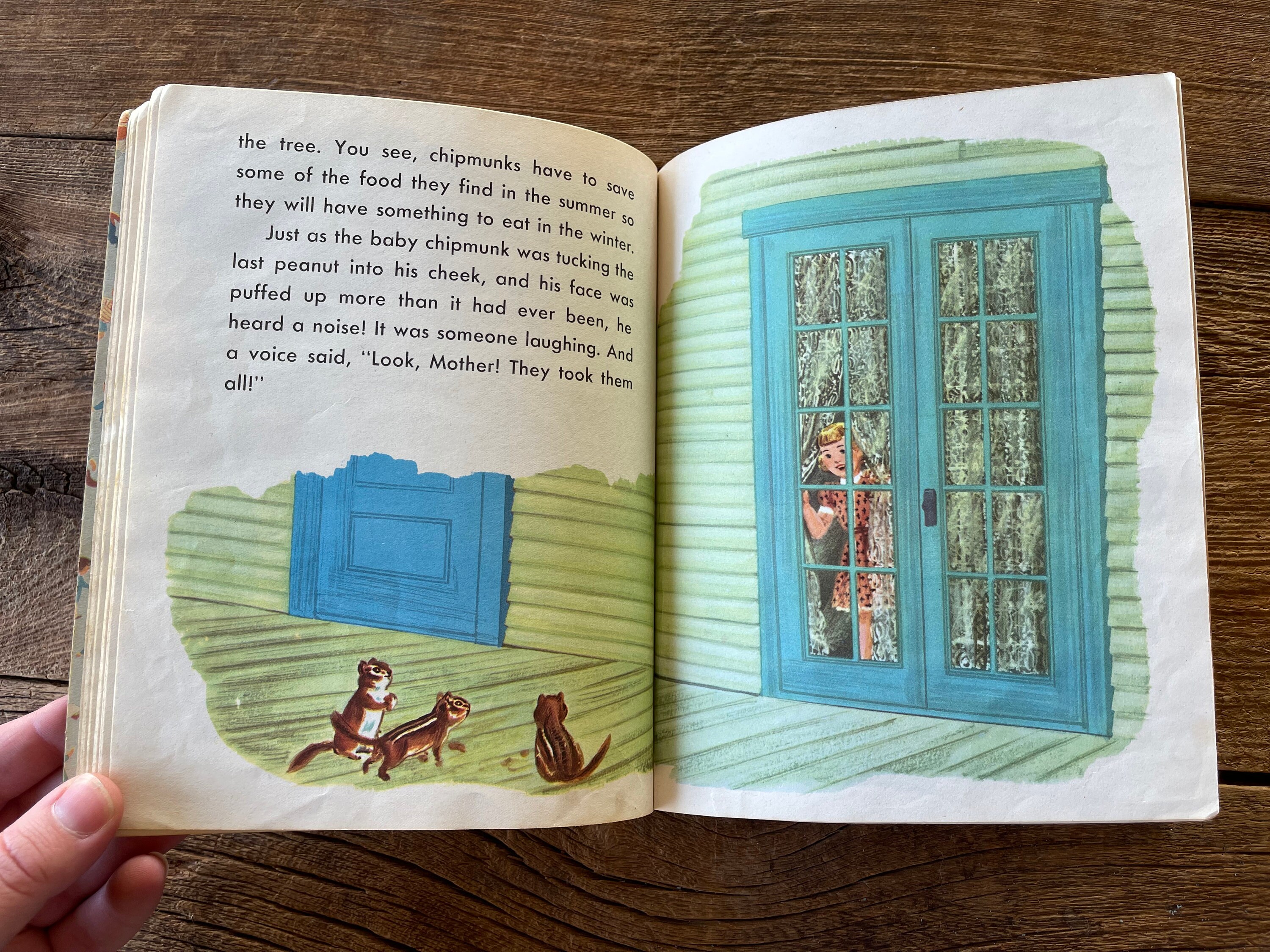 The Baby Chipmunk by Miss Frances // A Ding Dong School Book - Etsy