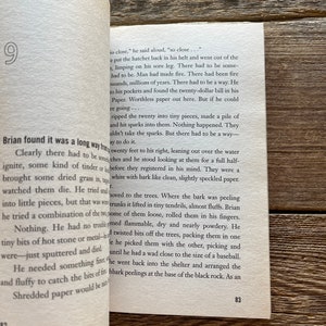 Hatchet by Gary Paulsen // Newbery Honor // Young Adult Fiction Book - Etsy