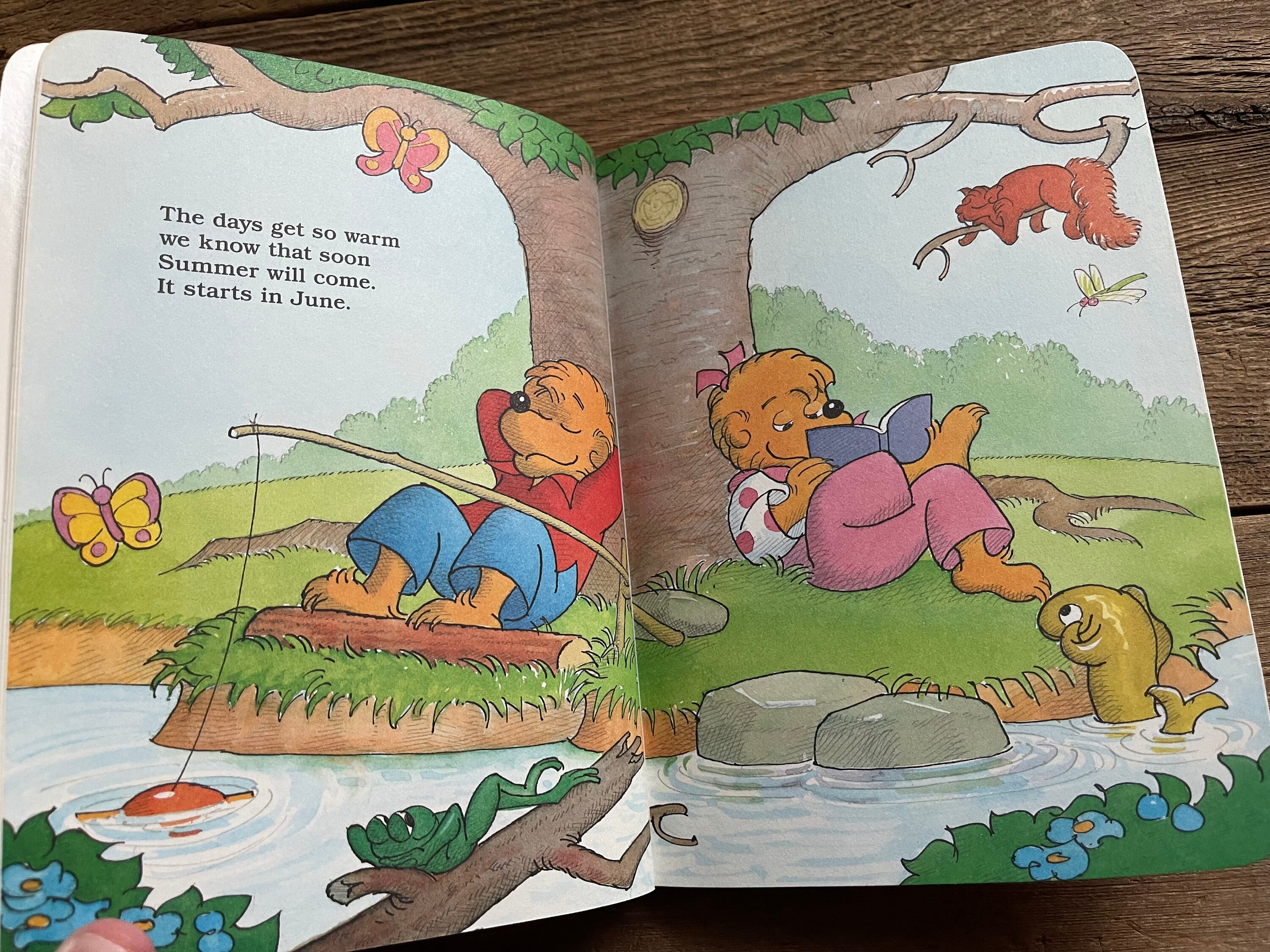 The Berenstain Bears' Four Seasons // Stan & Jan - Etsy