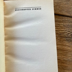 Grasshopper Summer // Ann Turner // Troll Book // 1991 - Etsy