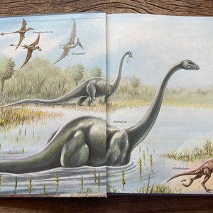 Dinosaurs and Other Prehistoric Animals // Darlene Geis, R.F. Peterson ...