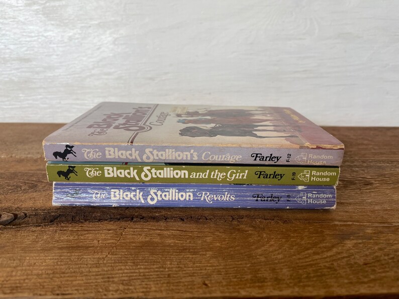 The Black Stallion Books // You Choose // Soft Cover // Walter - Etsy