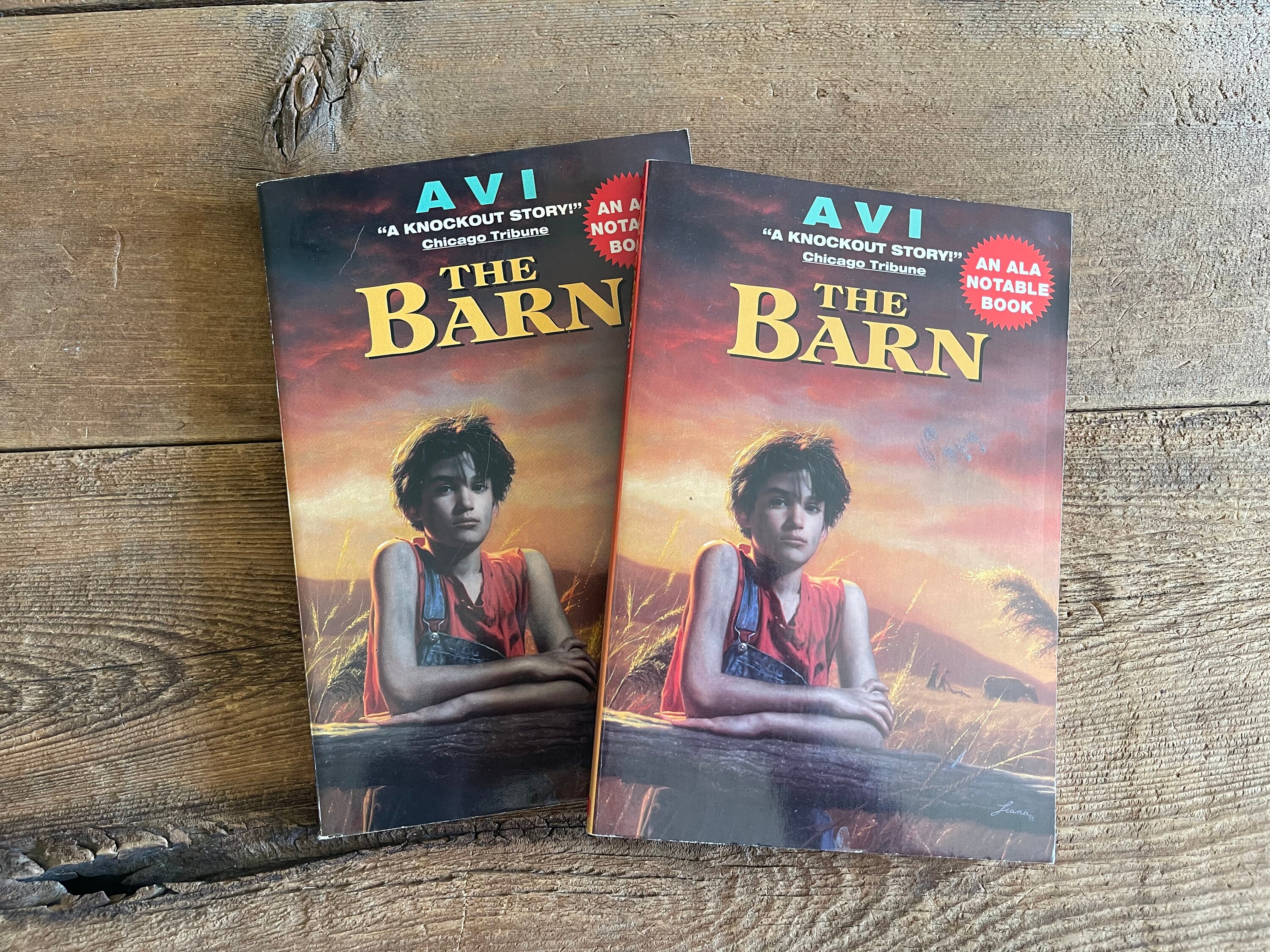 The Barn by Avi // 1994 // Historical Fiction Book - Etsy