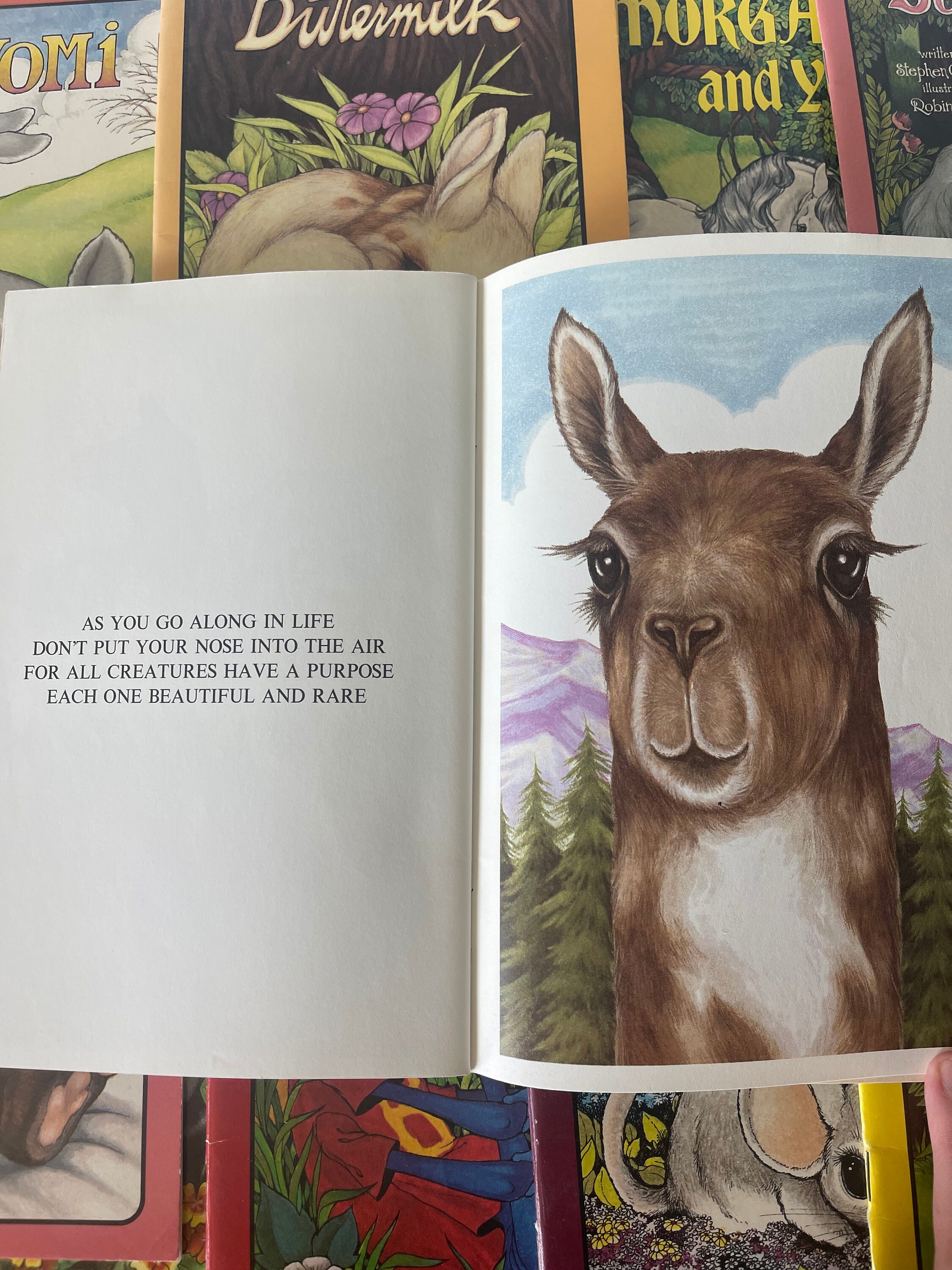 Serendipity Books // You Choose // Stephen Cosgrove // - Etsy