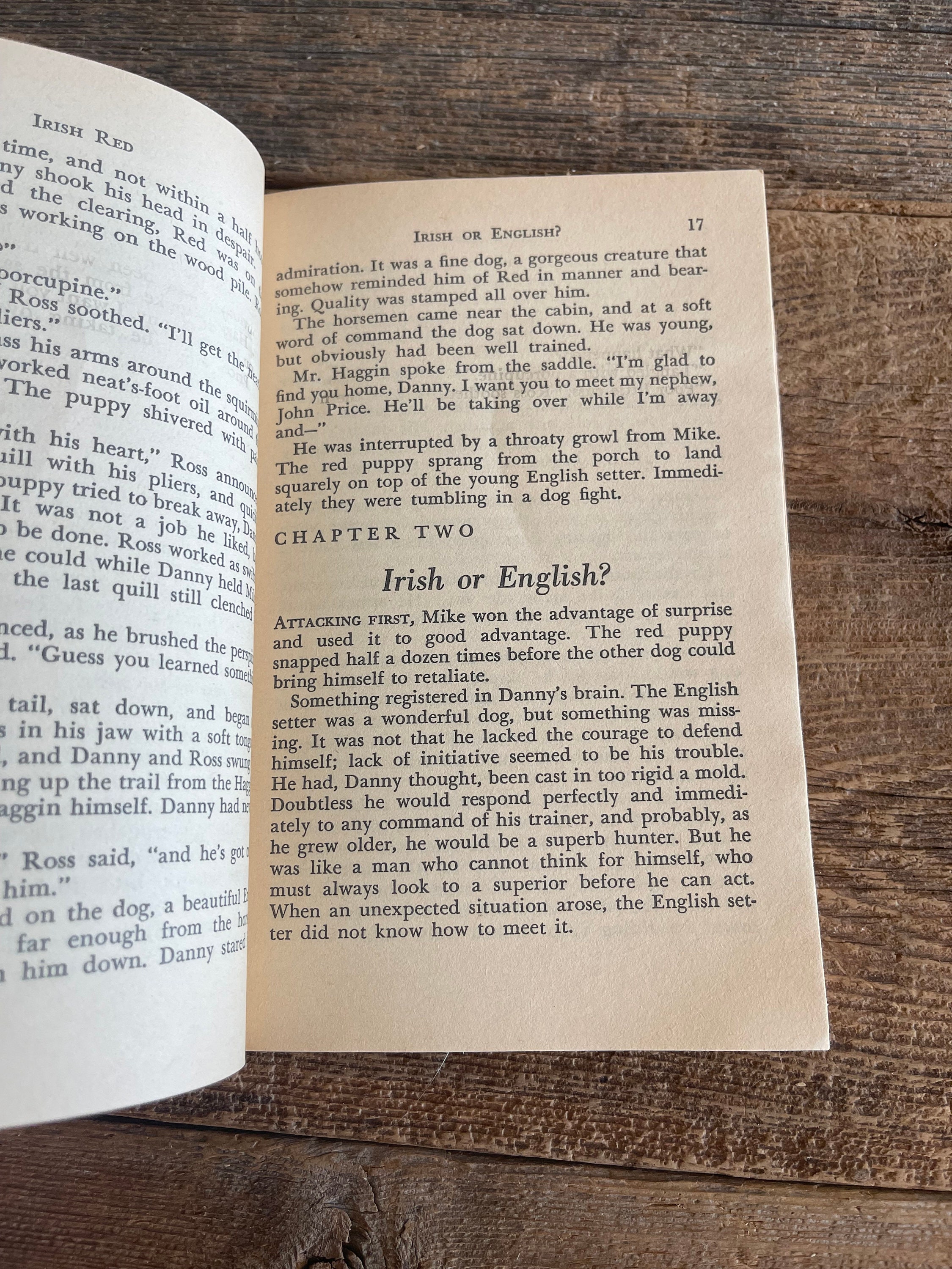 Irish Red // Jim Kjelgaard // 13th Printing 1972 // Scholastic Book - Etsy