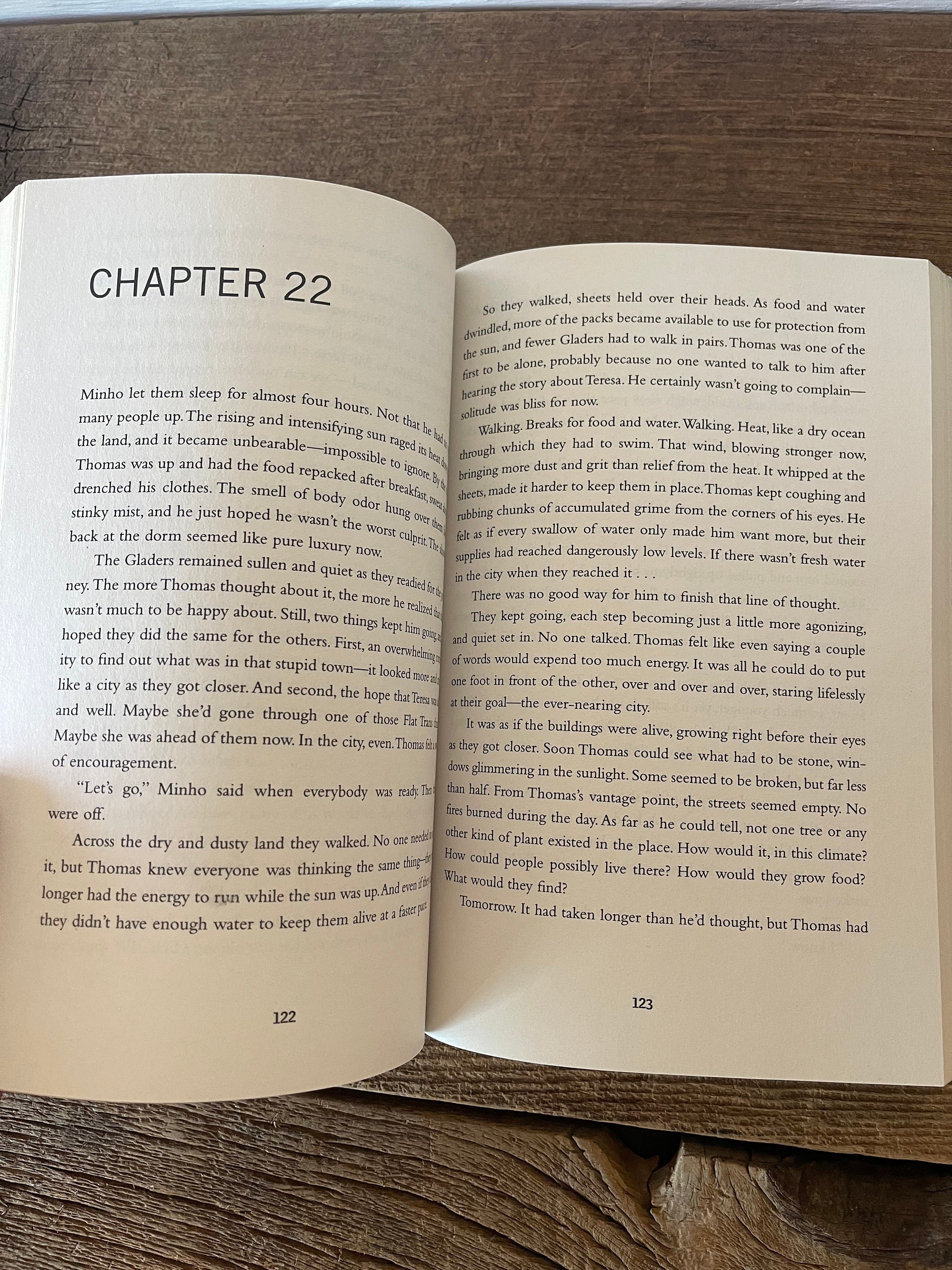 The Scorch Trials // James Dashner // Maze Runner Trilogy Book - Etsy