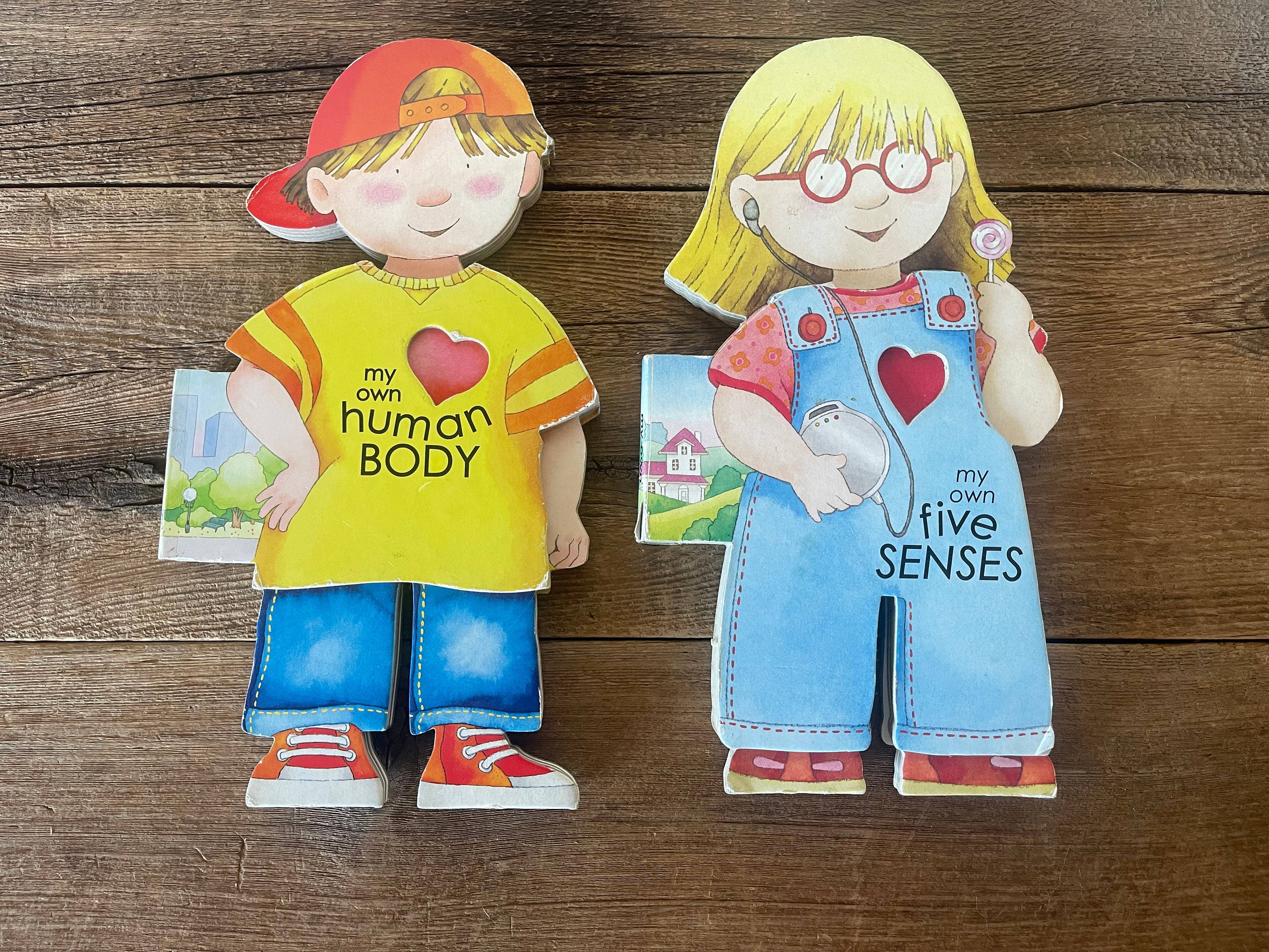 My Own Five Senses & My Own Human Body // Vintage 2002 Barron - Etsy UK