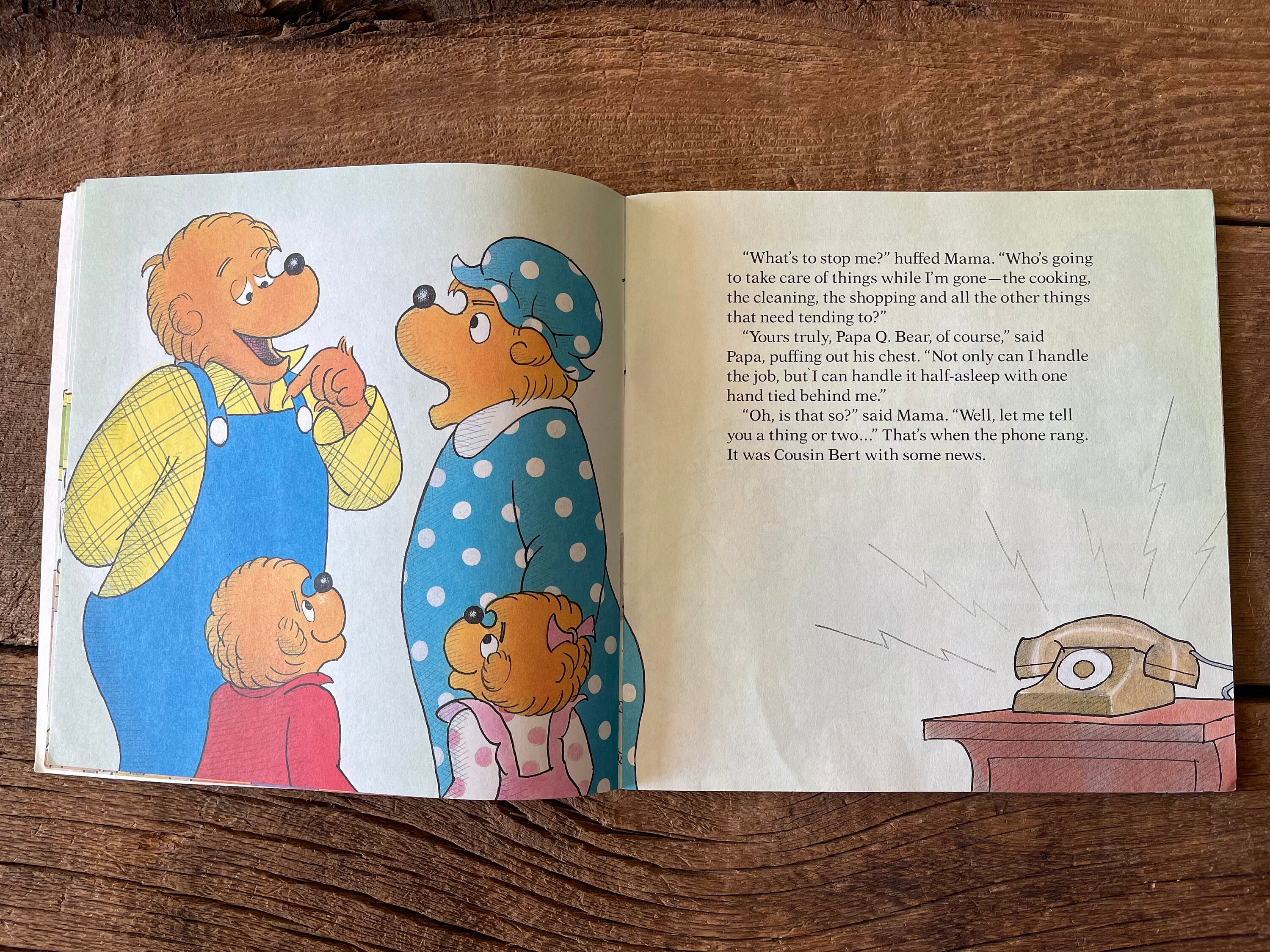 You Choose // the Berenstain Bears' Book life With - Etsy