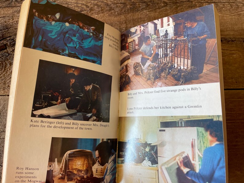 Gremlins // Steven Spielberg // Vintage Book // First Avon Printing ...